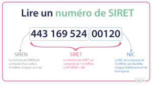 Numéro de SIREN et SIRET, le guide complet pour tout savoir